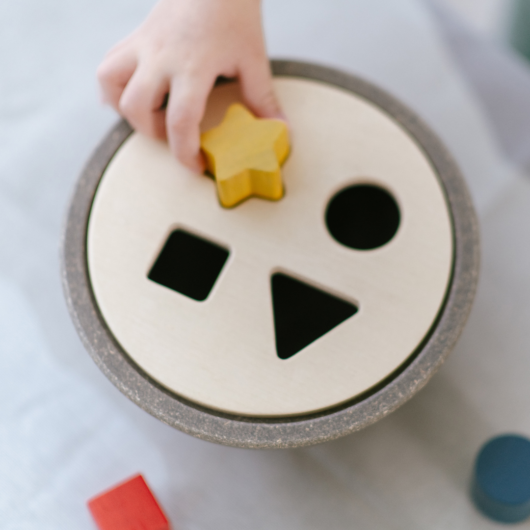 Shape Sorting Bowl – The Acorn Store