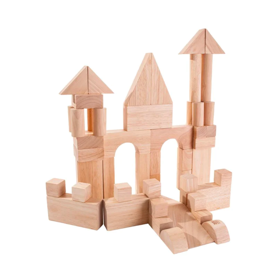 Blocks - 50 Pieces – The Acorn Store