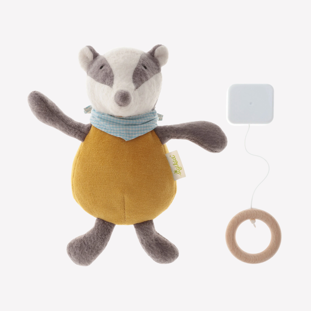 Organic Musical Badger – The Acorn Store