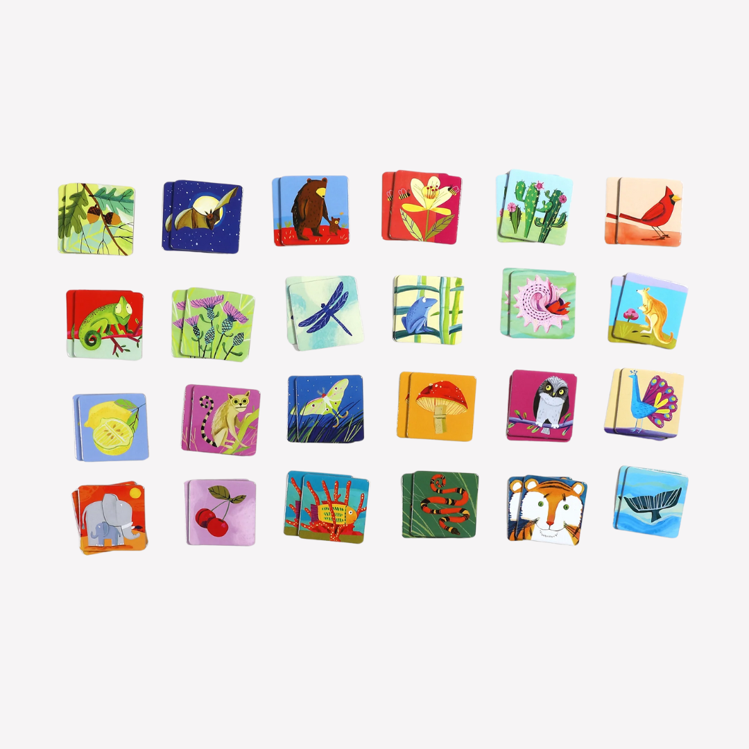 Life on Earth Memory and Matching Game – The Acorn Store