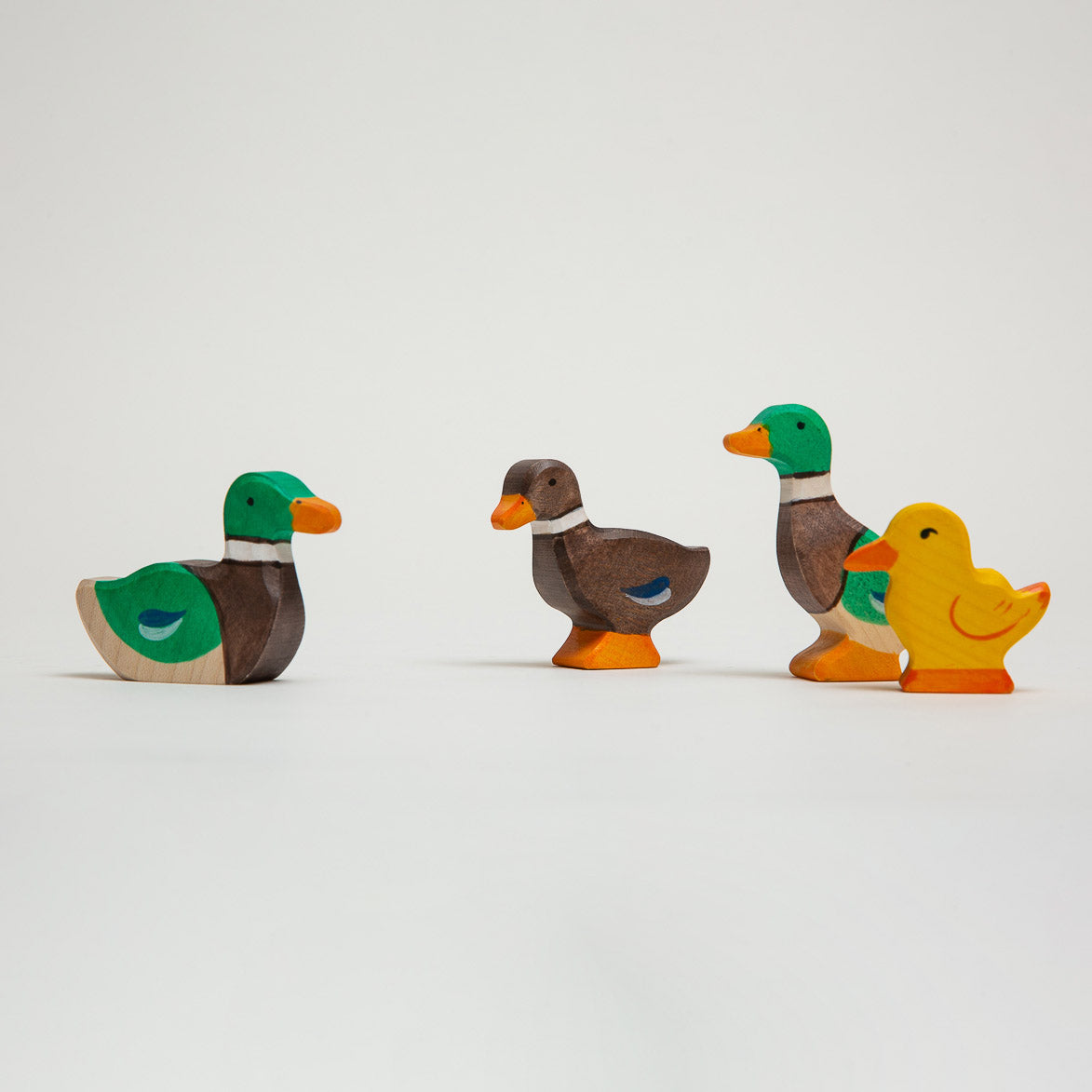 Duck Standing – The Acorn Store